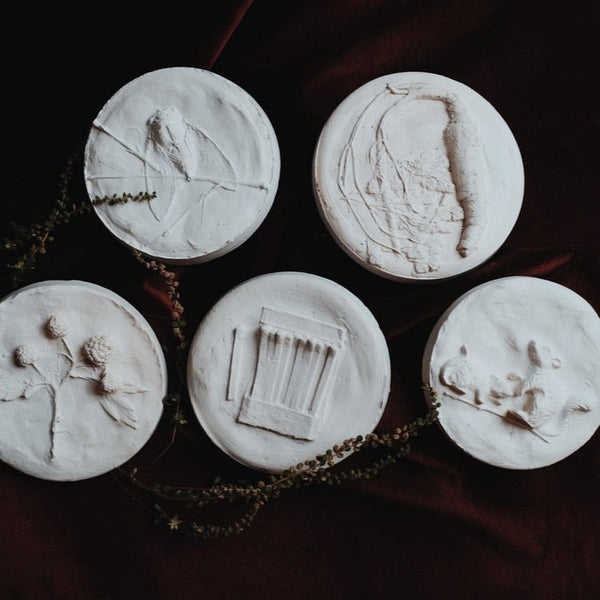 Cicada Plaster Cast – Table of Contents